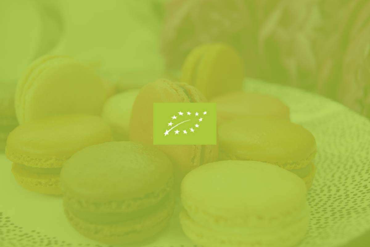 France Macaron – La passion du macaron made in France