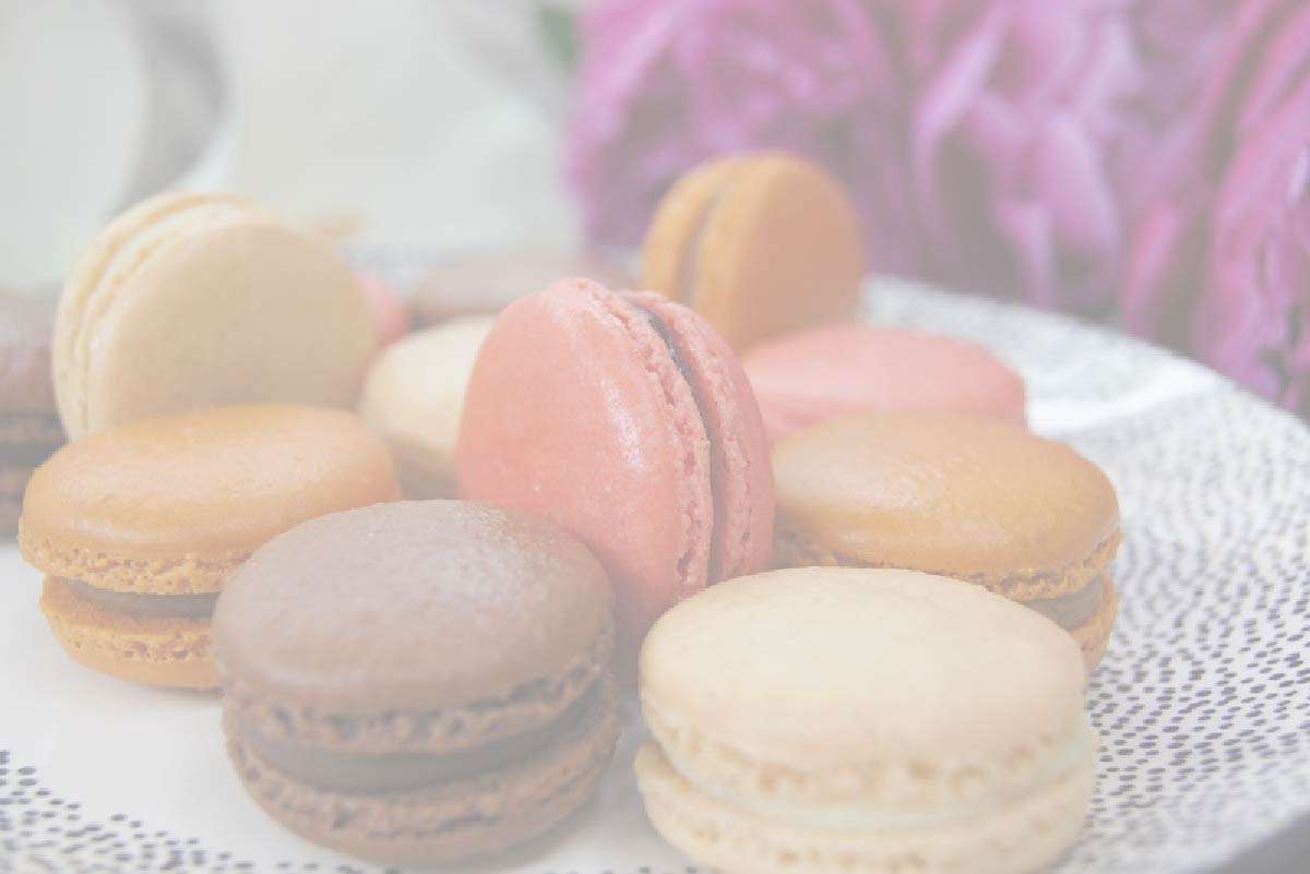 France Macaron – La passion du macaron made in France